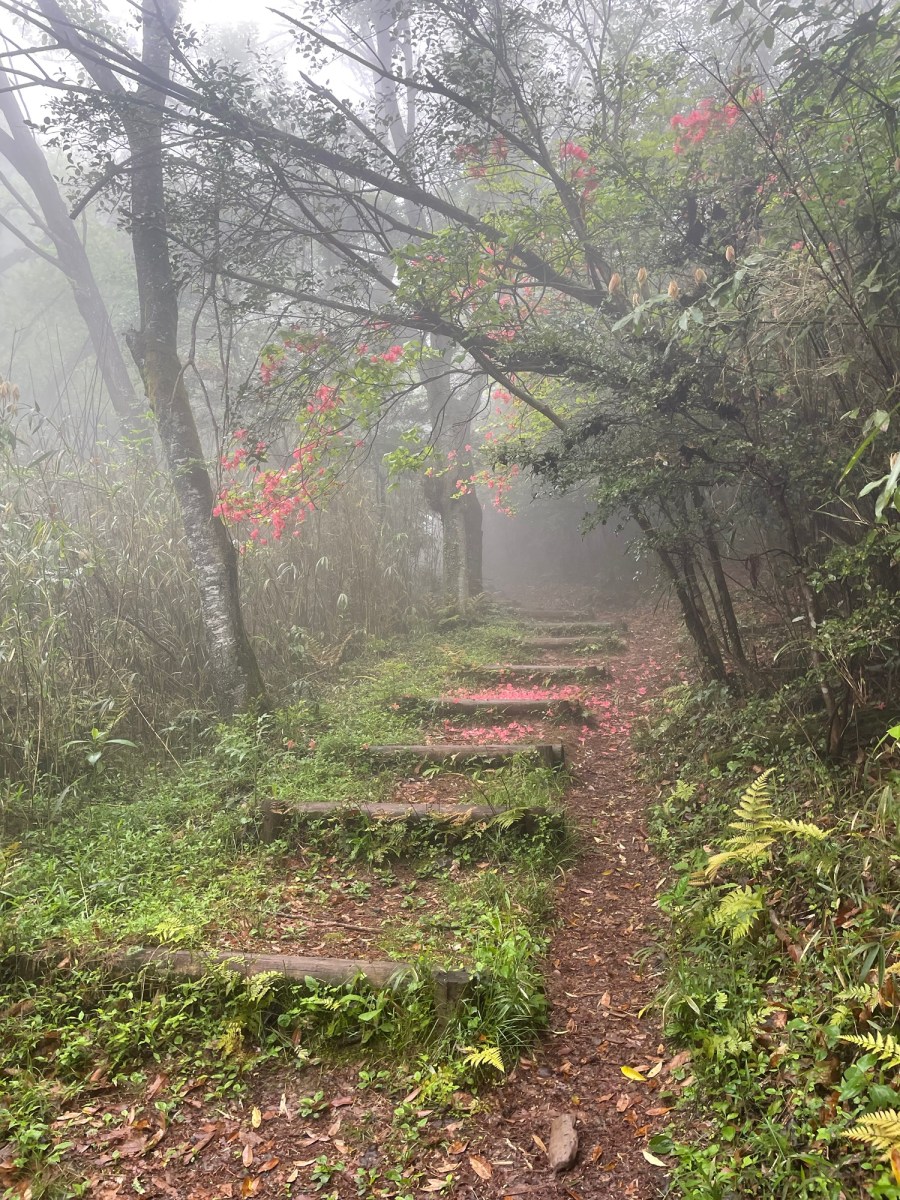 Day One: Temple 80 to 83 – elizabeth lindau